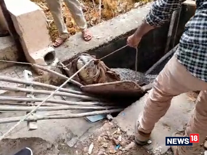 Crocodile Rescue Operation: 3 क्विंटल वजनी विशालकाय मगरमच्छ ने अटकाई ...