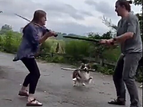 VIDEO: मुंह में तलवार दबाकर लड़ाई करने लगा कुत्ता, योद्धा की तरह उछल ...