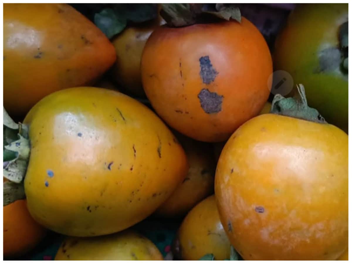 Kaaku Fruit : बड़ा फायदेमंद है पहाड़ का यह फल, कई बीमारियों को करता है ...