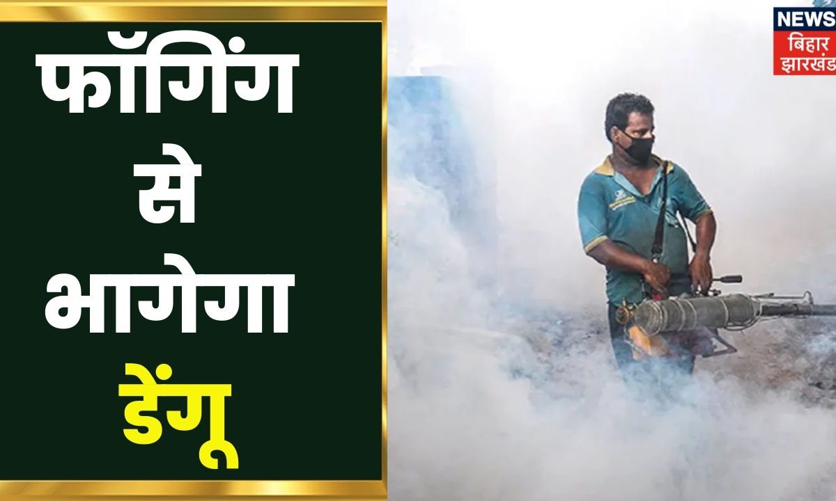 Patna: Dengu का डर, Fogging घर घर, पर क्या प्रयास है काफी ? Patna Nagar ...