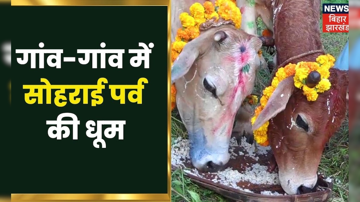 Gumla: पारंपरिक तरीके से मनाया गया सौहराई पर्व, गौशाला की हुई सफाई ...