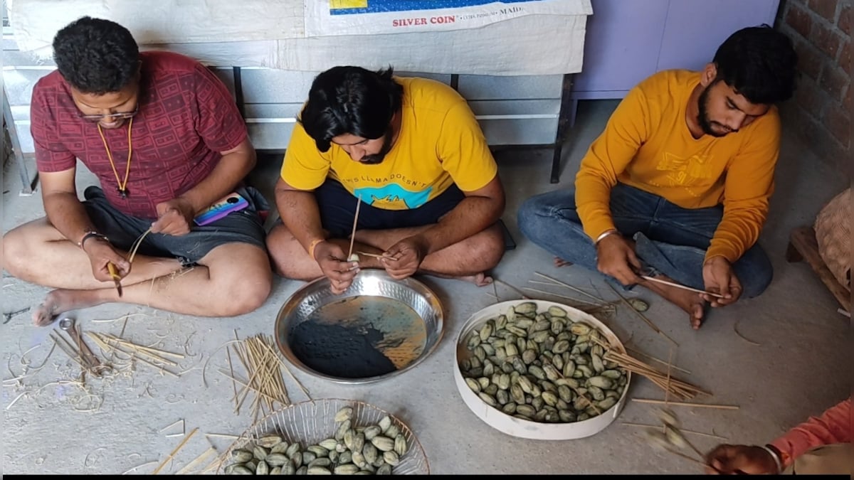 मध्य प्रदेश में हिंगोट युद्ध 26 अक्टूबर को, जानिए कैसे तैयार होते हैं ...