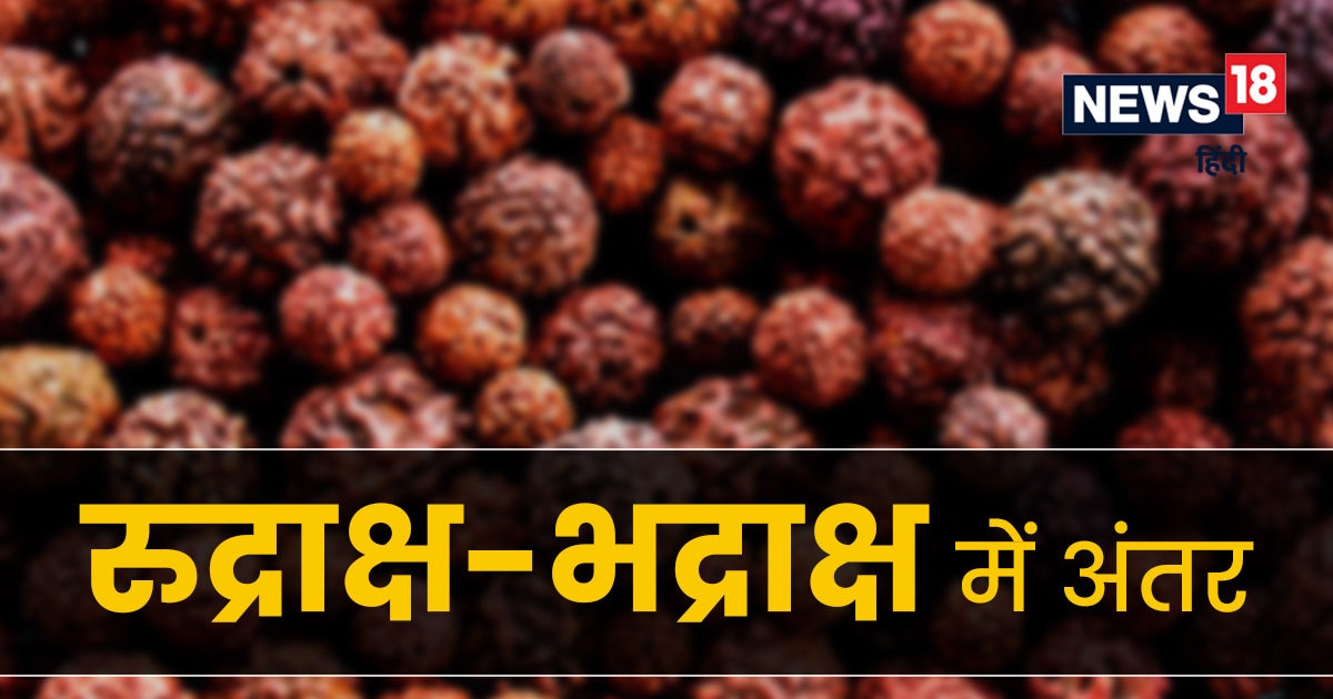 Rudraksha: रुद्राक्ष क्या है? ऐसे पहचानें रुद्राक्ष और भद्राक्ष में ...