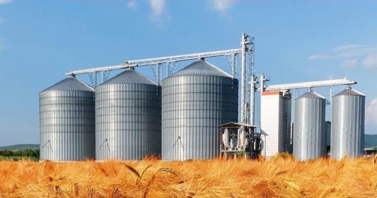 किसानों के लिए बड़ी सुविधा! FCI देशभर में बनाएगा 249 साइलो, अनाज बेचने ...