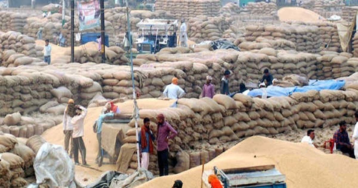 पंजाब में धान की खरीद 100 लाख मीट्रिक टन के पार, किसानों के खातों में ...