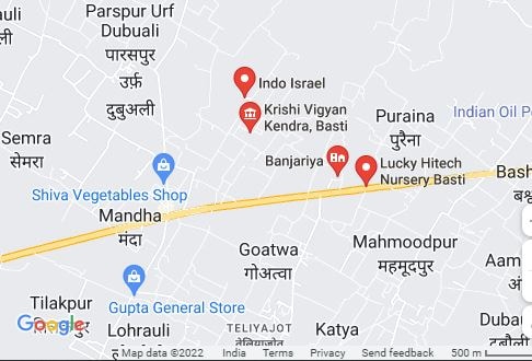 Basti : रंग-बिरंगे कई किस्मों के आम अब एक ही पेड़ पर! इज़राइली तकनीक से ...