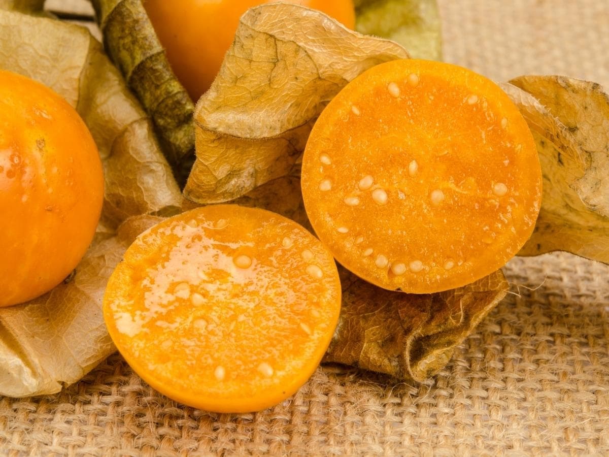 स्वाद का सफ़रनामा: शुगर को कंट्रोल और मोटापे को कम करती है रसभरी, इस फल ...