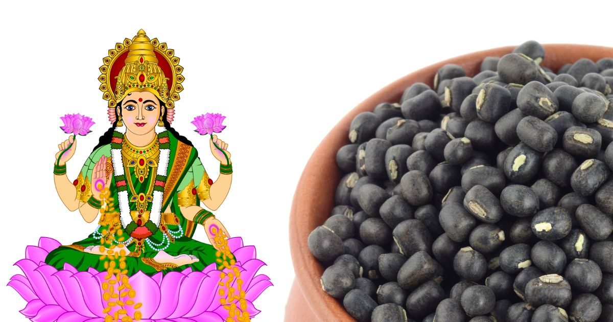 काली उड़द की दाल से आर्थिक स्थिति होती है मजबूत, इन उपायों से दूर हो ...