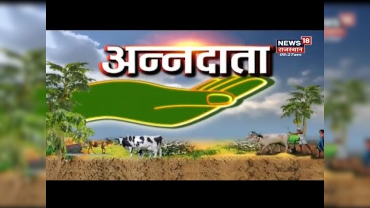 Annadata | फसल की अधिक उत्पादन के लिए किसान अपना सकते हैं कई उपाय ...