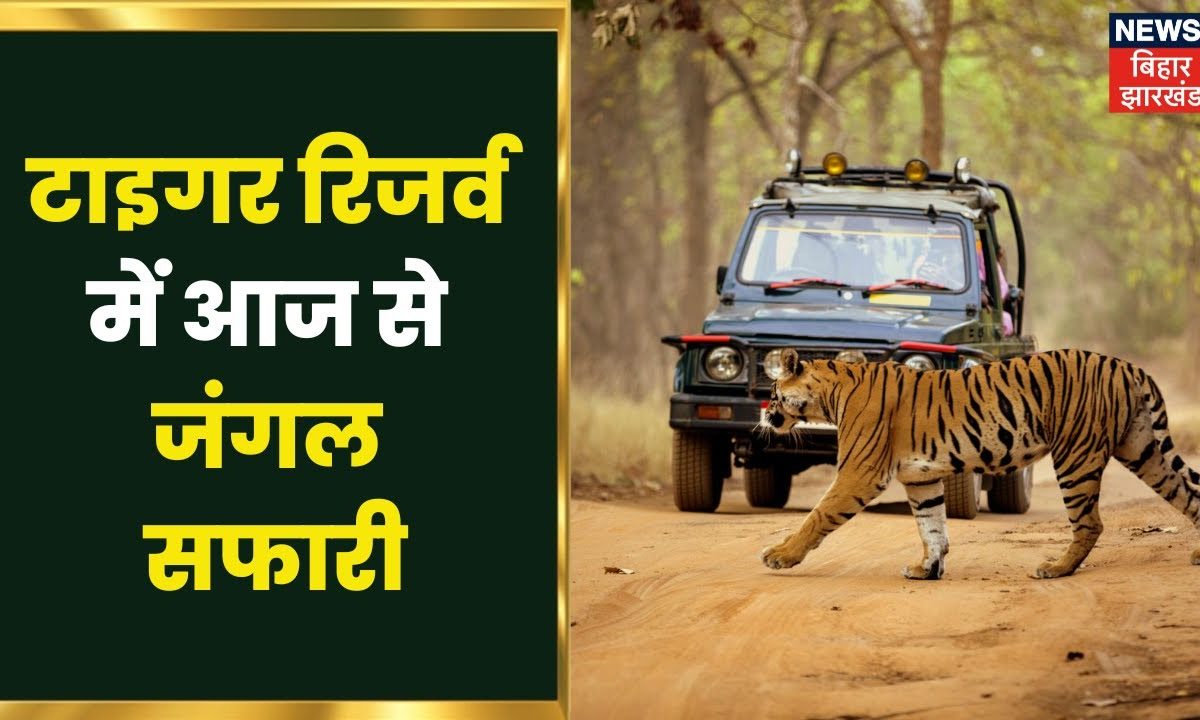 Bagaha: Valmiki Tiger Reserve में लगी पर्यटकों की भीड़, गंडक नदी में ...