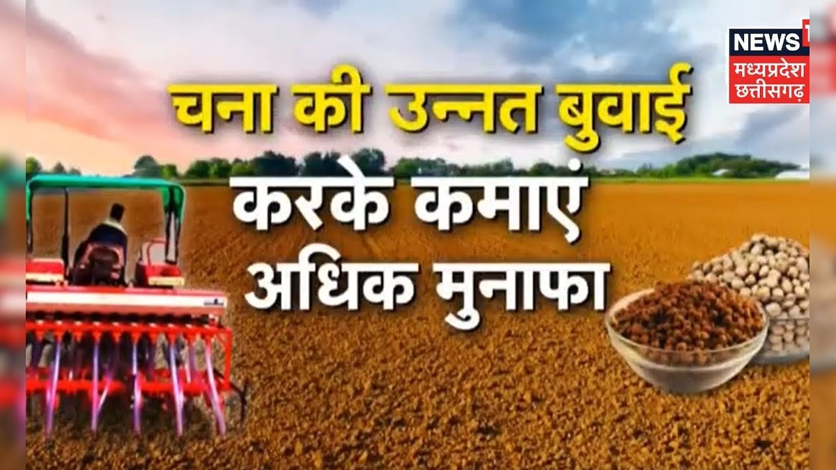 Annadata | जानिए चना की फसल को कीटों से बचाने के उपाय | Chana Ki Kheti ...