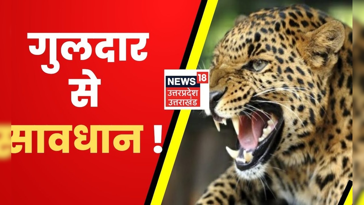 Uttarakhand में गुलदार का आतंक, 3 दिन में ले चुका है 3 लोगों की जान ...