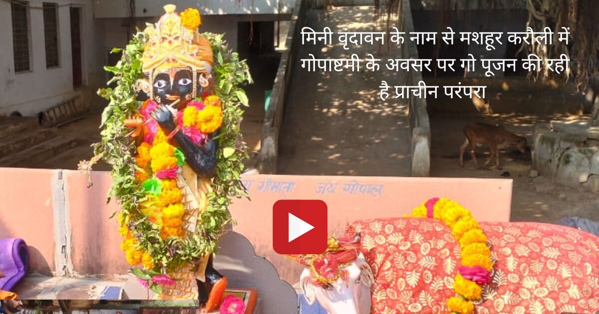 करौली में मनाया गया गोपाष्टमी का त्योहार गौ माता की पूरे विधि विधान से