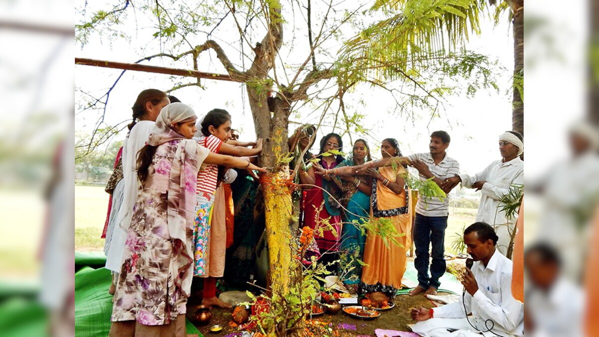 Akshay Navami: सात प्रकार की सब्जियां और आंवले के पेड़ की पूजा, ऐसे ...