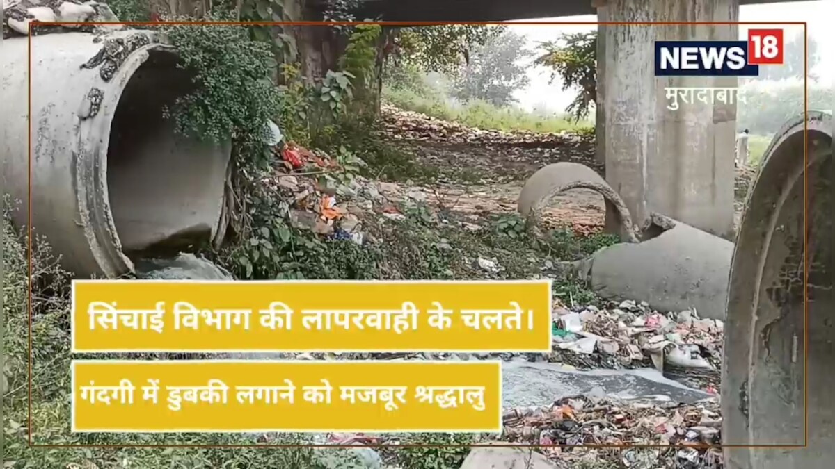 मुरादाबाद में सिंचाई विभाग की कैसी लापरवाही, गंदगी में डुबकी लगाने को ...