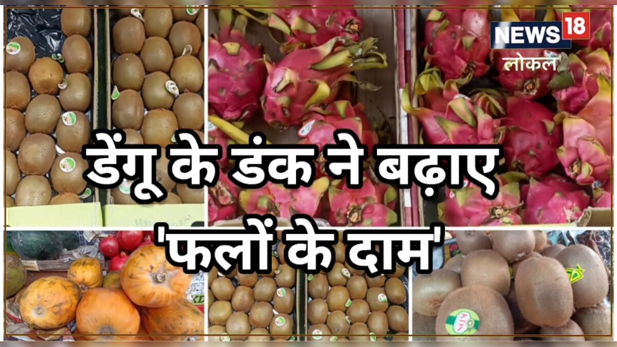 हल्द्वानी में डेंगू मरीजों की संख्या जिस रफ्तार से बढ़ी, कुछ फलों के ...