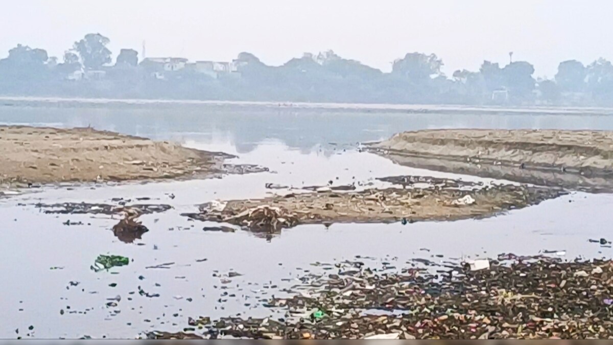 MATHURA NEWS: जानिए कौन है यमुना में विष घोलने वाला कलयुग का 'कालिया ...
