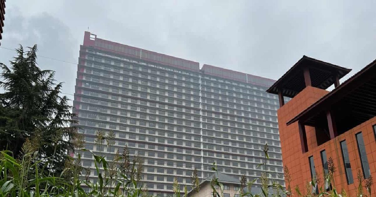 लाखों सूअरों को मारने के लिए चीन ने बनाई गगनचुंबी इमारत, एक्सपर्ट्स ने ...