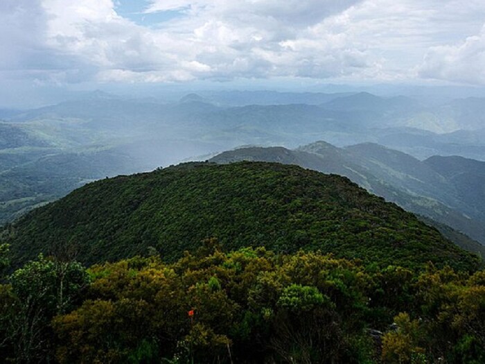 Climate: कांगो बेसिन में है अरबों टन का कार्बन भंडार - climate congo ...