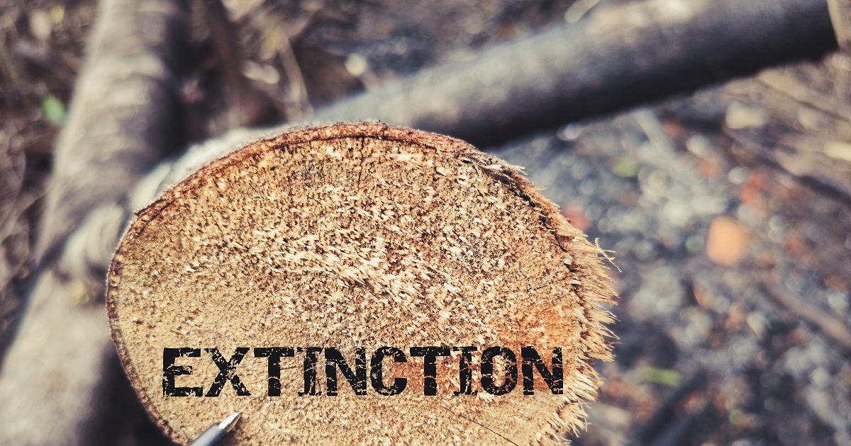 क्या इस समय महाविनाश की प्रक्रिया से गुजर रही है पृथ्वी? - earth might ...