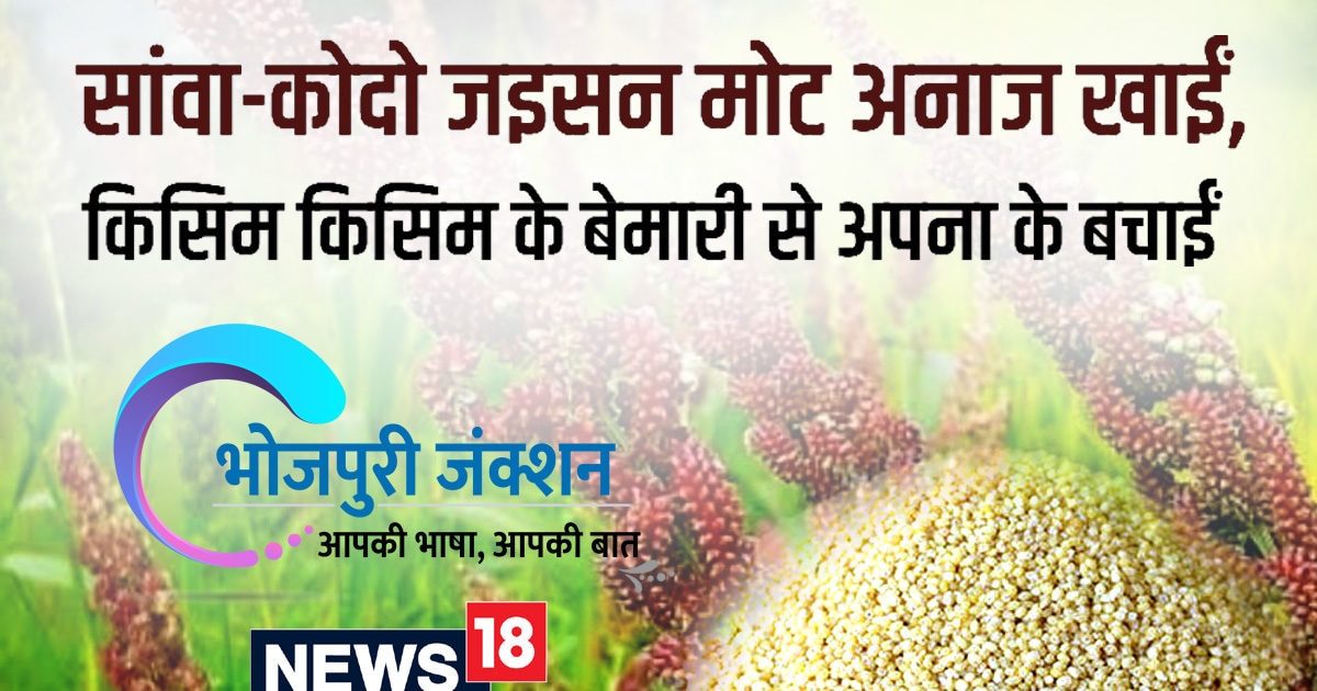 Bhojpuri: मलिकाइन के पातीं- सांवा-कोदो जइसन मोट अनाज खाईं, किसिम किसिम ...