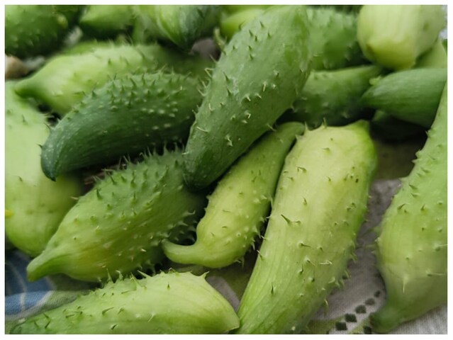 Nainital : पहाड़ की सब्जी को भगवान राम से मिला नाम! औषधीय गुण जान रह ...