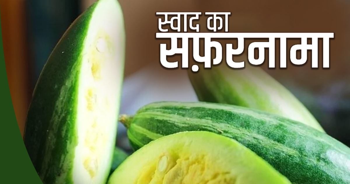 स्वाद का सफ़रनामा: पीलिया, कब्ज में लाभकारी है परवल, औषधीय गुणों से ...