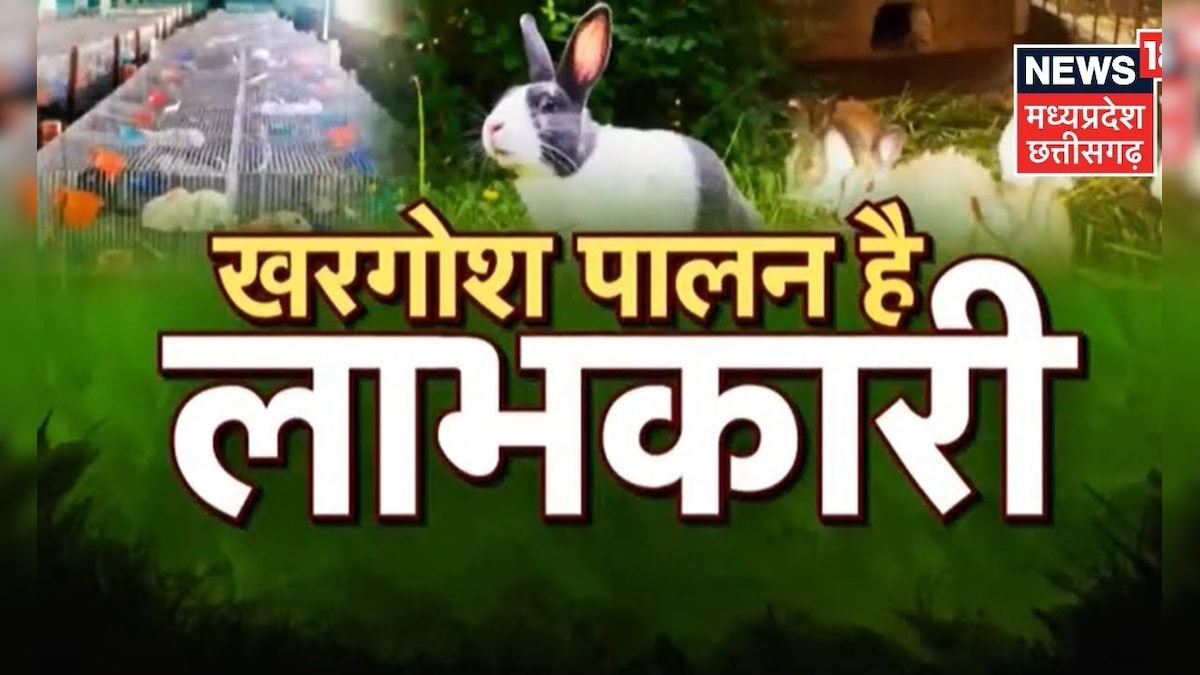 Khargosh Palan | खरगोशोंस में आने वाले रोग और समस्याएं का ऐसे करें ...