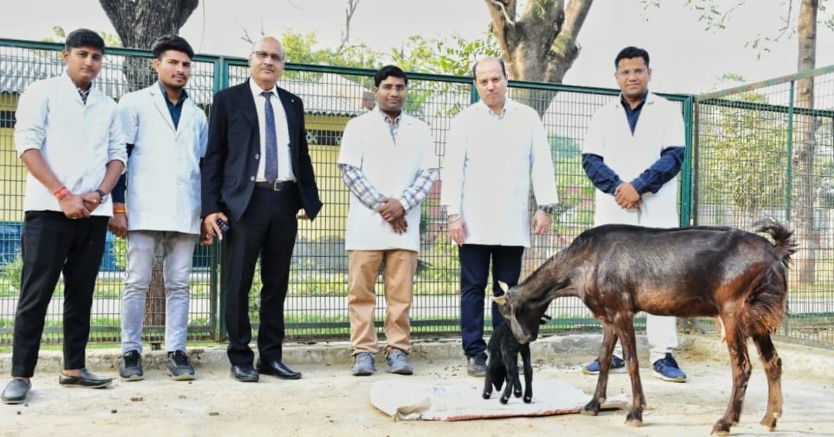 मथुरा के केंद्रीय बकरी अनुसंधान ने रचा इतिहास, वैज्ञानिकों ने बकरी की ...
