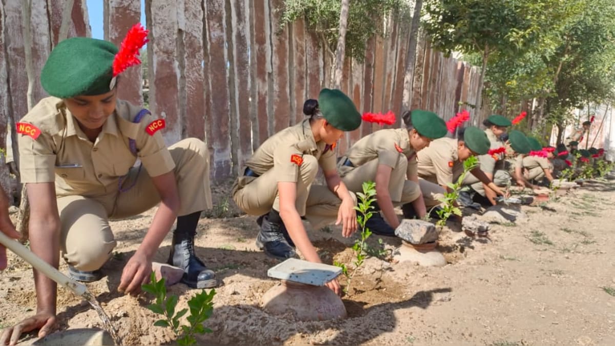 बाड़मेर में एक पौधा-एक मटका पद्धति से पौधारोपण, पीएम मोदी कर चुके हैं ...