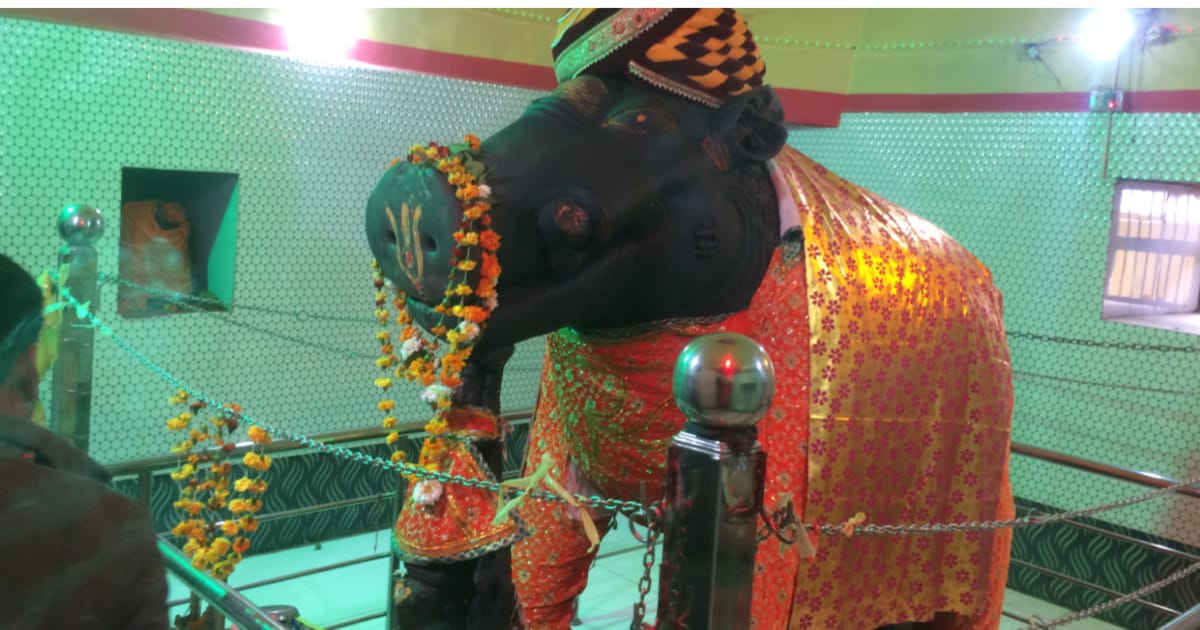 जबलपुर के मझौली में है कल्चुरी कालीन विष्णु वराह मंदिर, ये है भक्तों की ...