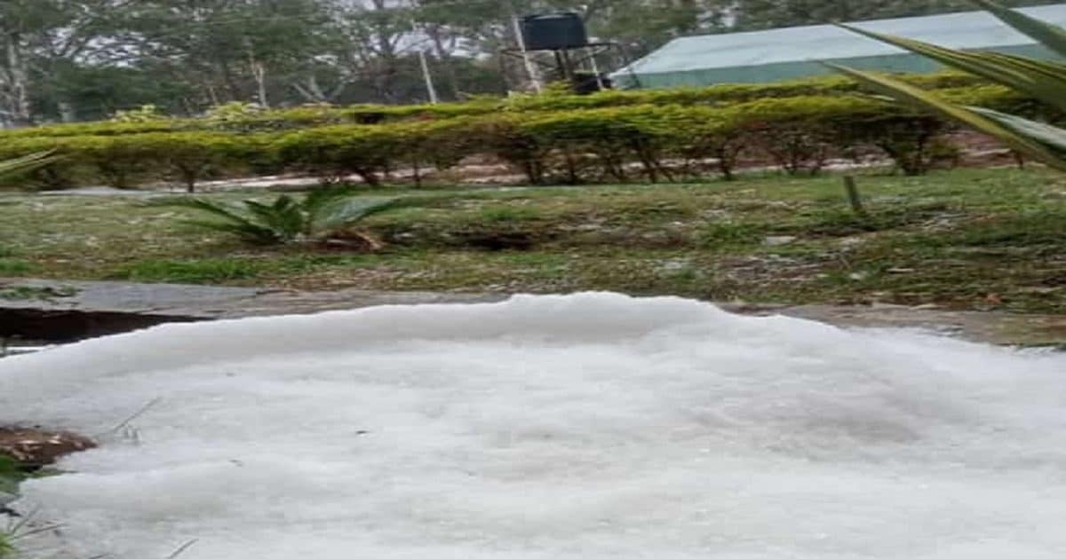 Ranchi Weather: क्या रांची में फिर दिखेगा शिमला जैसा नजारा? कांके में ...