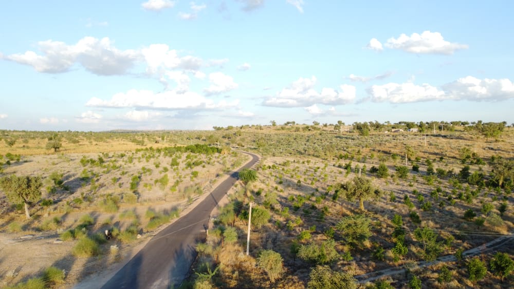 OMG: यहां रेत के दरिया में नजर आ रहे हैं ग्रीन आइलैंड, आप भी देखें ...