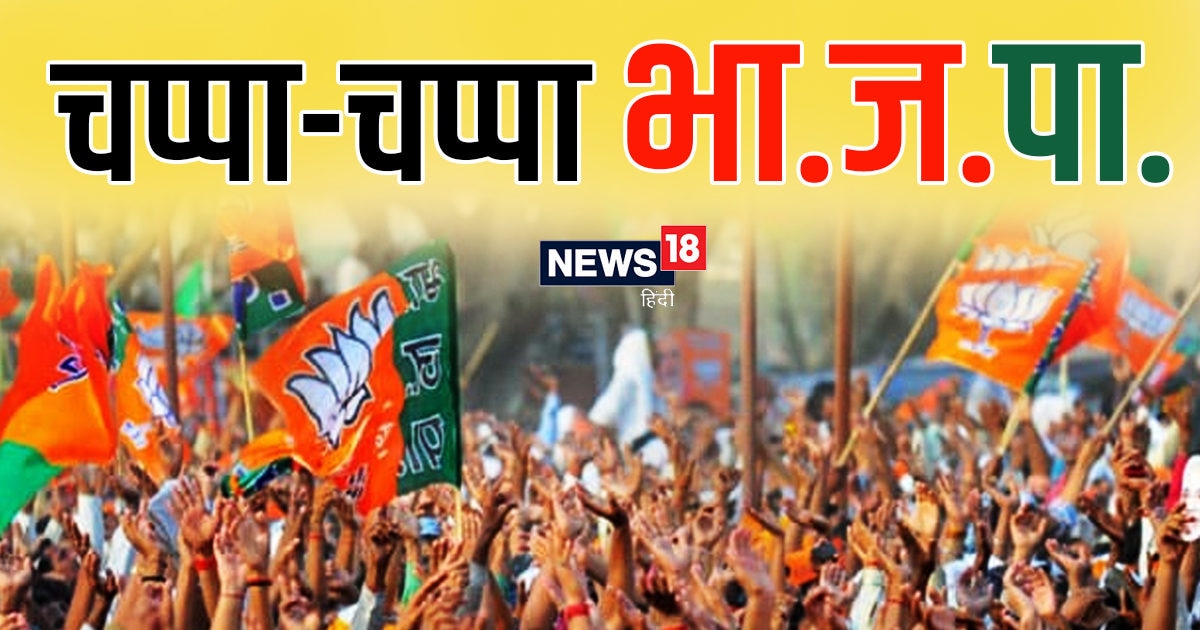 Gujarat Election Results: सच हो रहा है 'चप्पा-चप्पा भाजपा' का नारा ...