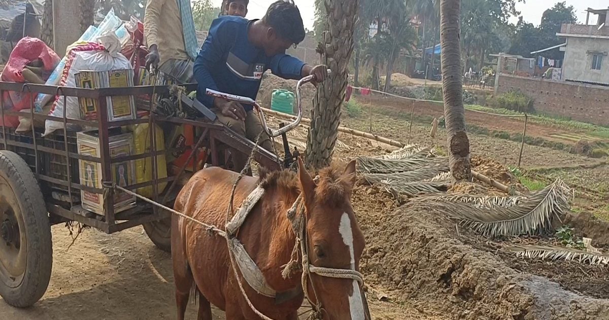 Godda: क्या आपके यहां अब भी चलती है टमटम? - horse carts are still visible in the rural areas