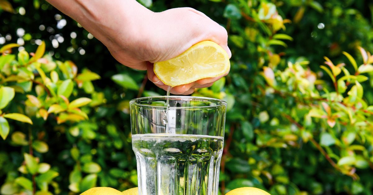 छोटा सा नींबू दिला सकता है स्किन से लेकर डाइजेशन तक कई हेल्‍थ प्रॉब् ...