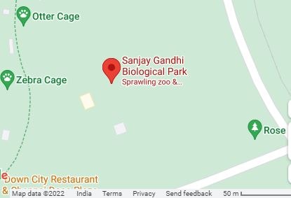 New Year Party: फेवरेट डेस्टिनेशन है Patna Zoo, 31 दिसंबर को यहां टिकट ...