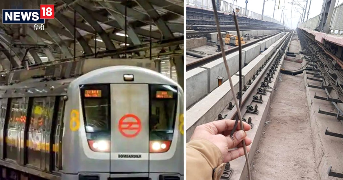 DMRC: पक्षियों ने मेट्रो की रफ्तार पर लगाया ब्रेक, सवा घंटे की जद्दोजहद ...