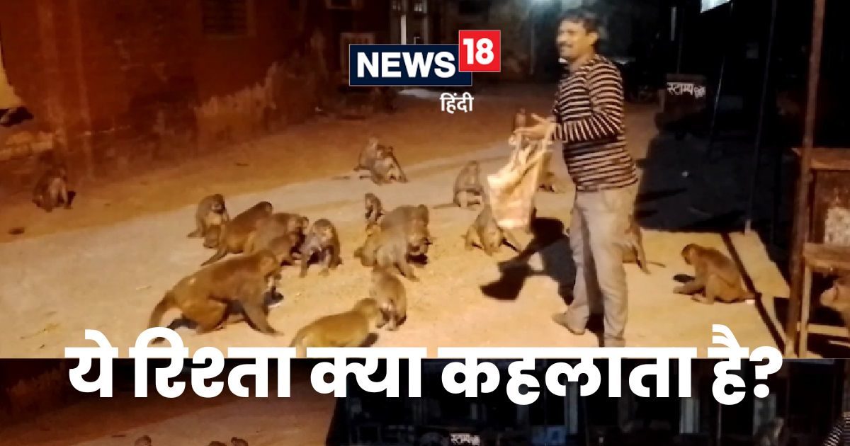 इस चाय वाले की एक आवाज सुनकर आ जाते हैं दर्जनों बंदर, देखा है ऐसा अनोखा ...