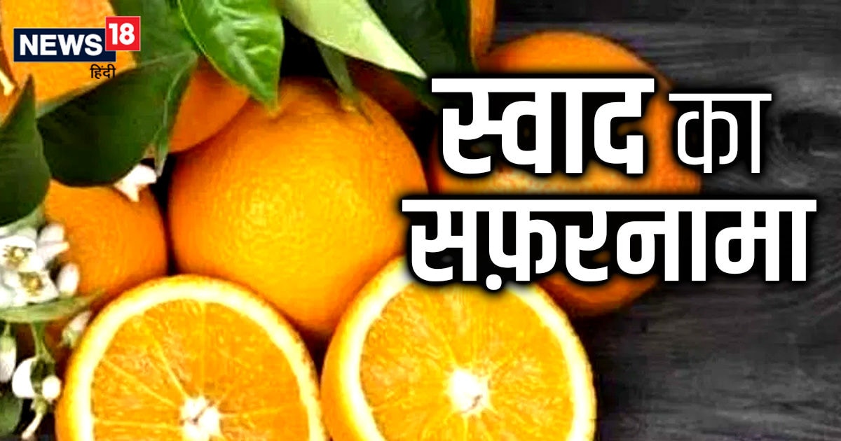 स्वाद का सफ़रनामा: अमेरिका से पूरी दुनिया में फैला स्वादिष्ट फल किन्नू, जानें इसका रोचक इतिहास ...