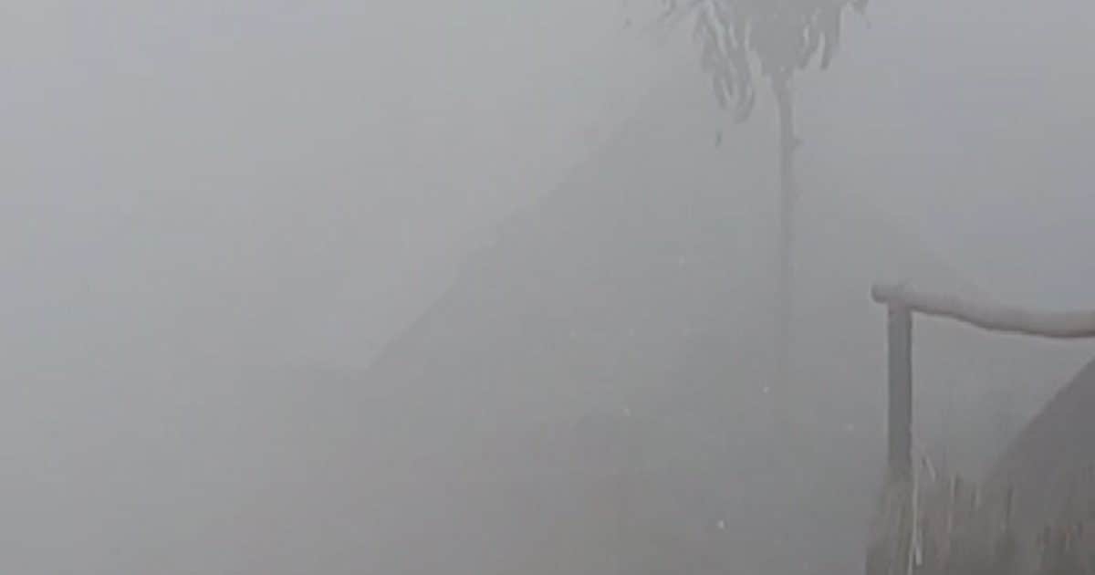 Weather Report Bihar: ठंड और घने कोहरे की चपेट में बिहार के कई जिले ...