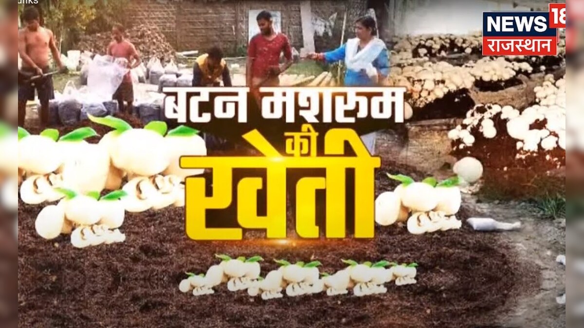 Button Mushroom Farming : कैसे शुरू करें बटन मशरूम की खेती? | Annadata ...