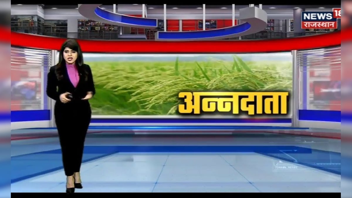 Annadata : रोगों के कारण उत्पादन में आती है गिरावट, बाग लगने वोले रोगों ...