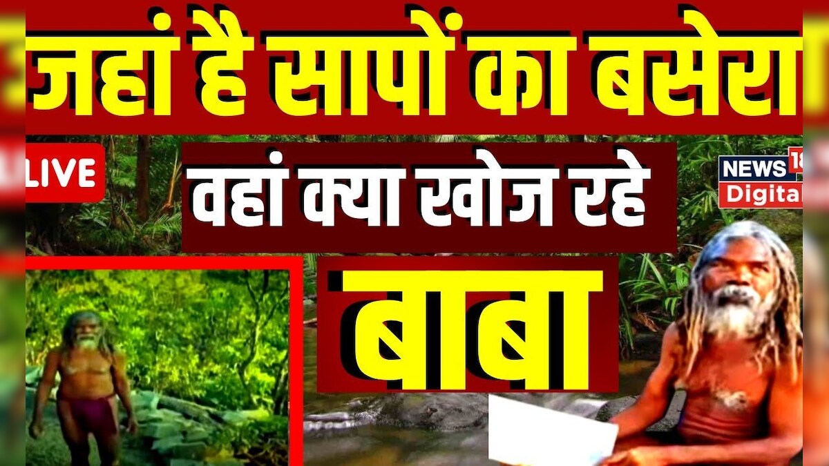 Live : Jungle में सांपों का बसेरा, वहां Baba क्या खोज रहे ? Jashpur ...