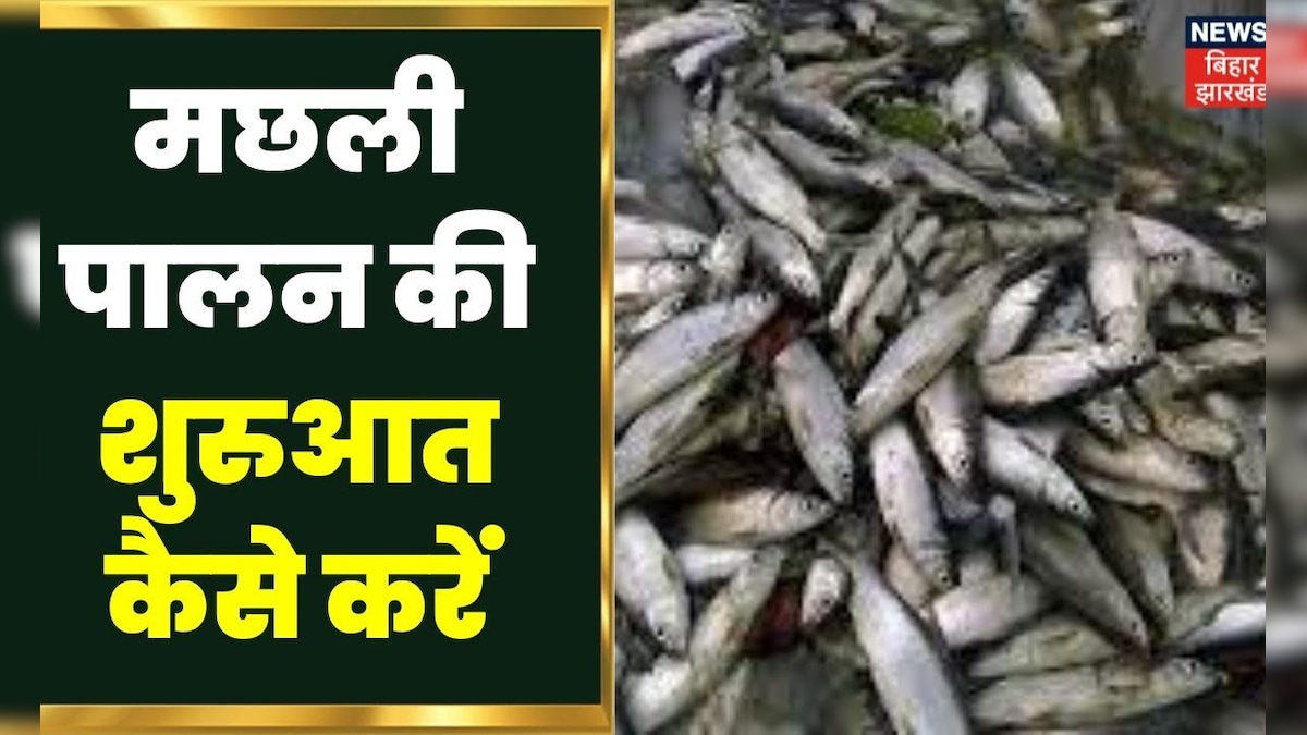 Annadata : मछली पालन की शुरुआत कैसे करें | Machhali Palan Ka Tarika ...