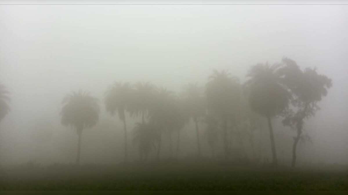 Deoghar Weather: नए साल में बदला मौसम का मिजाज, शीतलहर से लोग परेशान ...