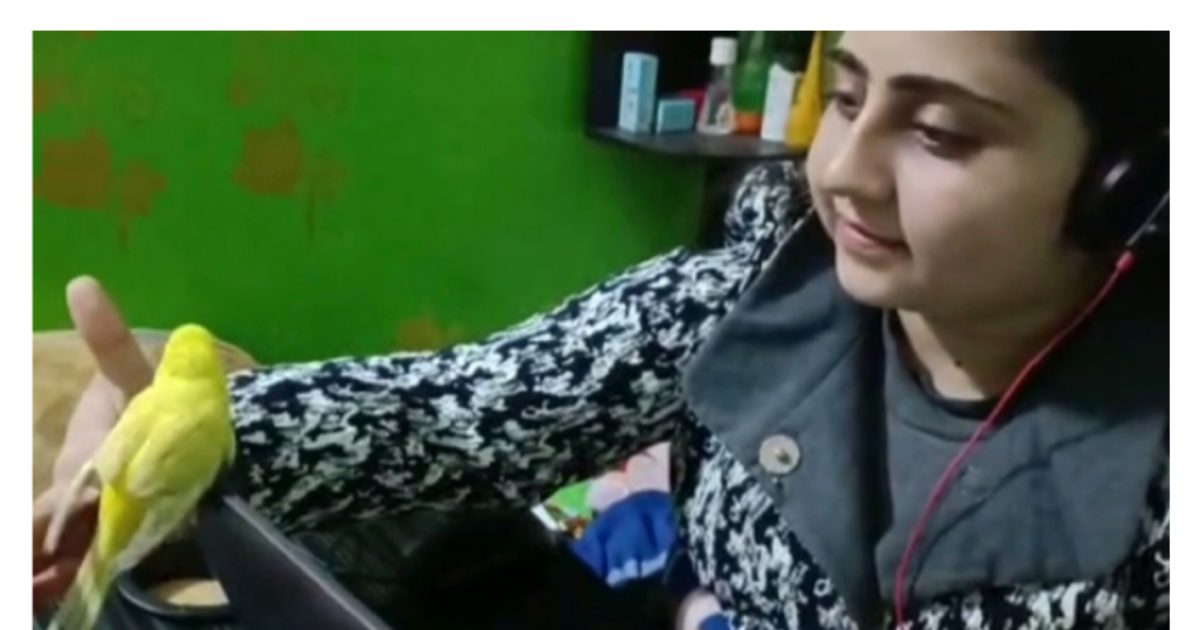 गजब की दोस्‍ती: बाजार जाना हो या पार्टी में, हमेशा अपने पार्टनर 'चूचू ...