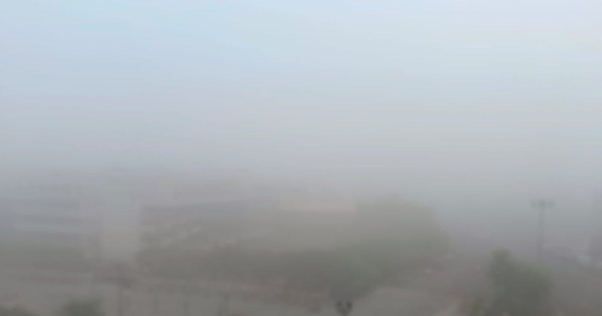 Kota Weather: मावठ के बाद कोटा में कोहरा, 100 मीटर से भी कम रही दृश्यता ...