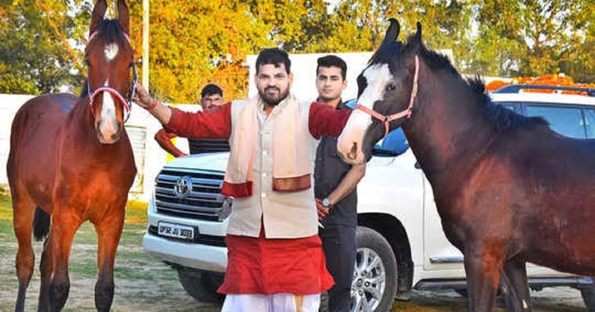 बृजभूषण शरण सिंह: 6 बार से सांसद, 50 से ज्यादा स्कूल-कॉलेज, प्राइवेट ...