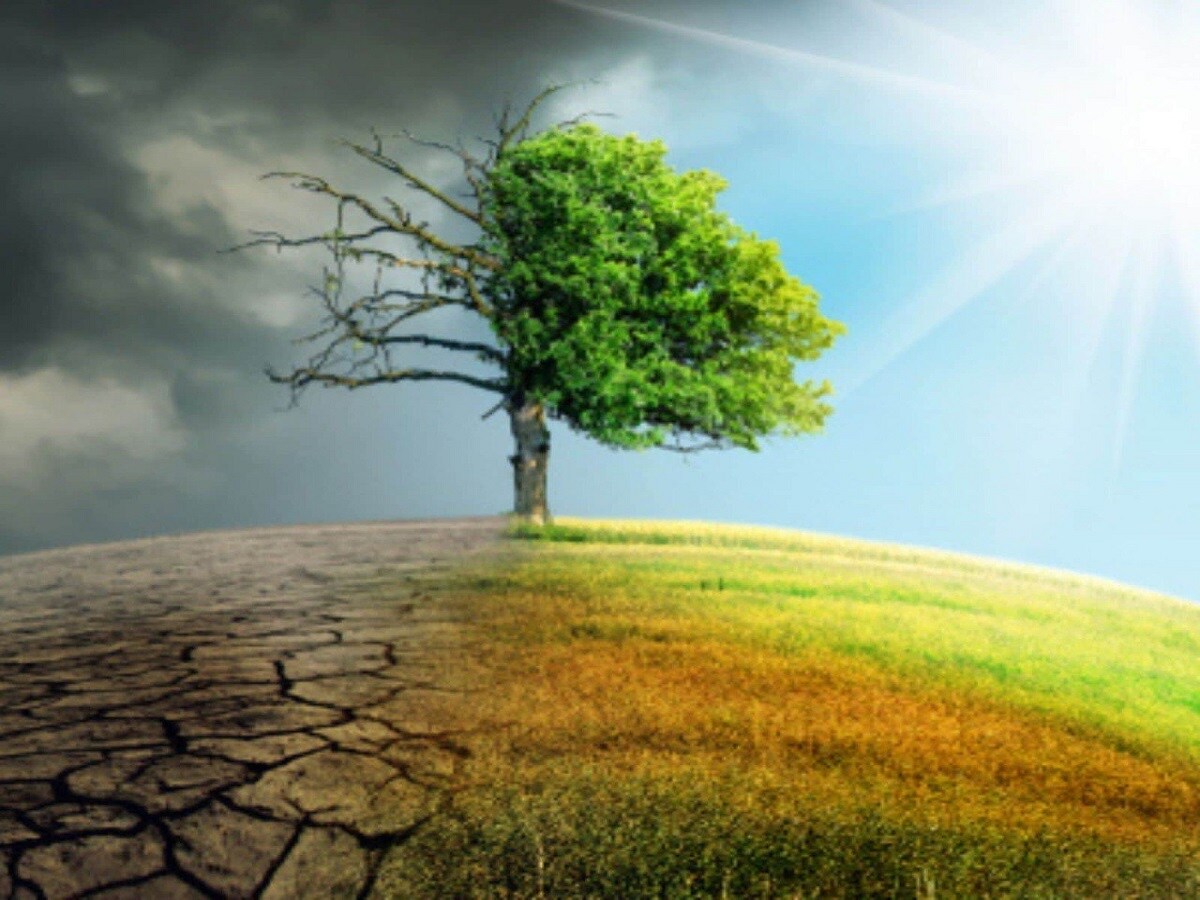 Why scientists are working to dim light and heat of sun what relation ...